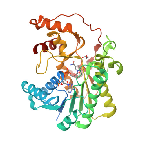RCSB PDB - 7XWU: Ketoreductase CpKR mutant - M1