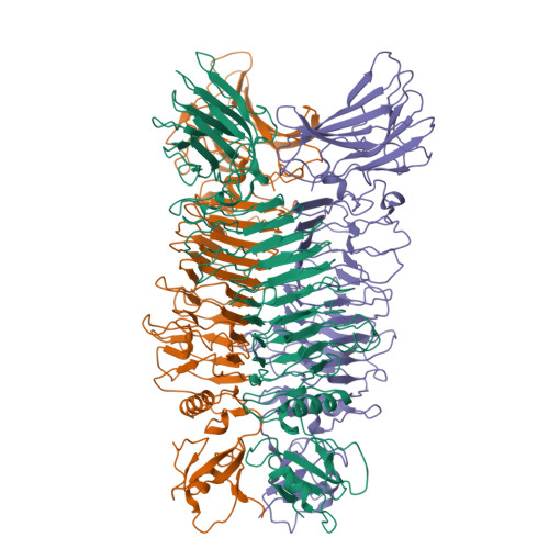 RCSB PDB - 7XYC: CryoEM structure of Klebsiella phage Kp7 type II tail ...