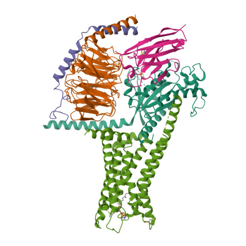 RCSB PDB - 7XZ5: GPR119-Gs-LPC complex