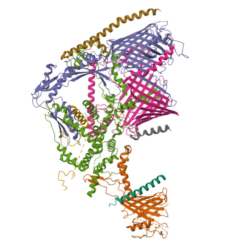 RCSB PDB - 7XZJ: Cryo-EM structure of TOC complex from Chlamydomonas ...