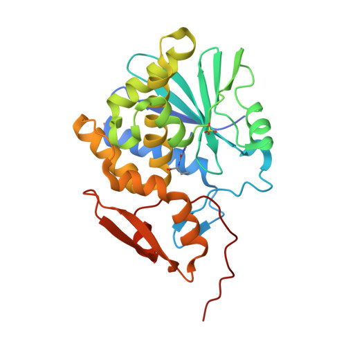 RCSB PDB - 7XZT: Crystal structure of Ricin A chain bound with (2-amino ...