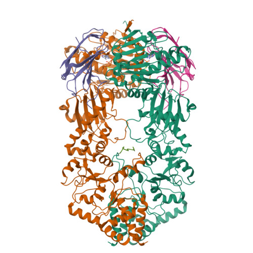 RCSB PDB - 7Y04: Hsp90-AhR-p23 complex