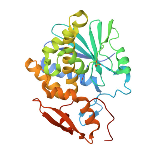 RCSB PDB - 7Y05: Crystal structure of Ricin A chain bound with (R)-2-(2 ...