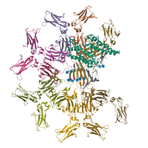 RCSB PDB - 7Y09: Cryo-EM structure of human IgM-Fc in complex with the ...