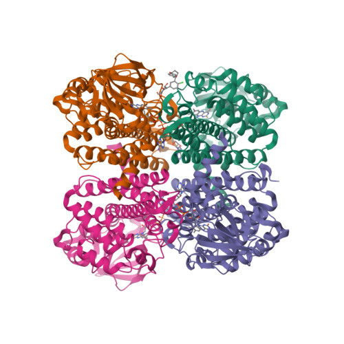RCSB PDB - 7Y0B: Crystal structure of human short-chain acyl-CoA ...