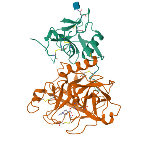 RCSB PDB - 7Y0E: Crystal structure of TMPRSS2 in complex with Camostat