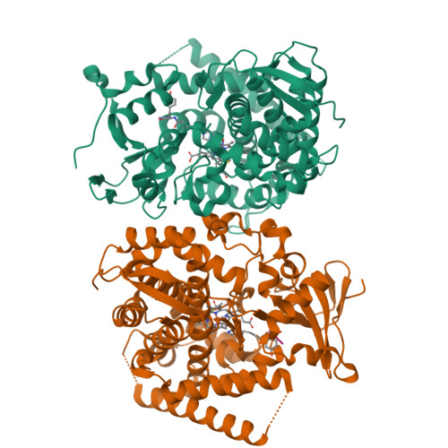 RCSB PDB - 7Y0S: Crystal structure of the P450 BM3 heme domain mutant ...