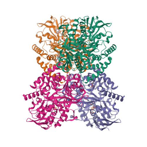 RCSB PDB - 7Y0X: Orf1-glycine complex