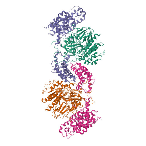 RCSB PDB - 7Y18: Crystal structure of ribosomal ITS2 pre-rRNA ...