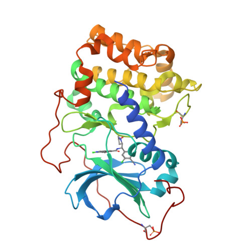 RCSB PDB - 7Y1G: Crystal structure of human PRKACA complexed with ...
