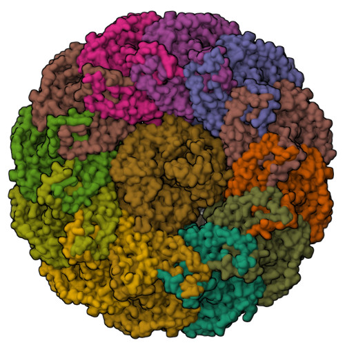 RCSB PDB - 7Y38: Molecular architecture of the chikungunya virus ...