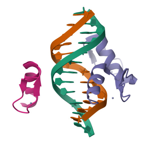 RCSB PDB - 7Y3I: Structure of DNA bound SALL4