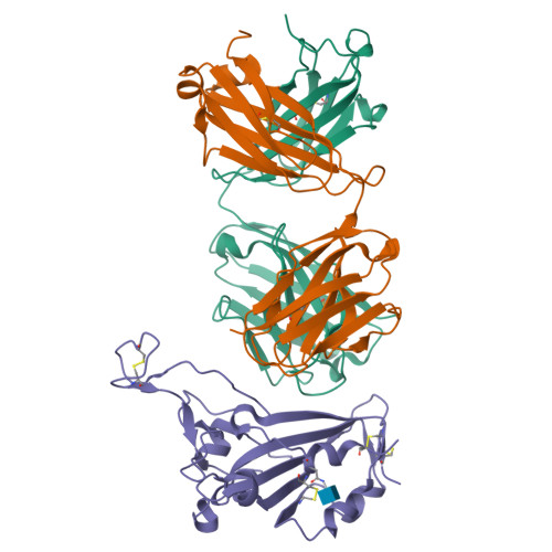 RCSB PDB - 7Y3O: Crystal structure of SARS-CoV-2 receptor binding domain in complex with human ...