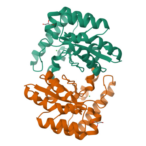 RCSB PDB - 7Y51: Acetylxylan esterase from Caldanaerobacter ...