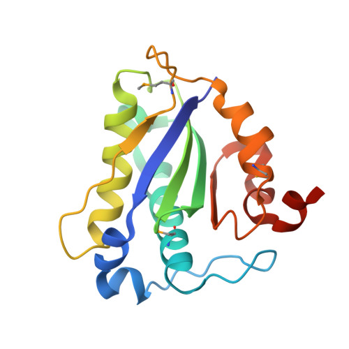 RCSB PDB - 7Y57: Crystal structure of NS1 nuclease domain in P21 space ...
