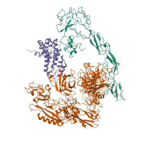 RCSB PDB - 7Y5Q: Structure of 1:1 PAPP-A.STC2 complex(half map)
