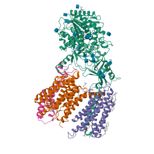 RCSB PDB - 7Y5T: CryoEM structure of PS1-containing gamma-secretase in ...