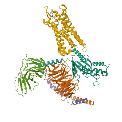 RCSB PDB - 7Y65: Cryo-EM structure of C5a peptide-bound C5aR1 in ...