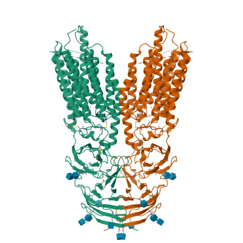 RCSB PDB - 7Y69: ApoSIDT2-pH5.5