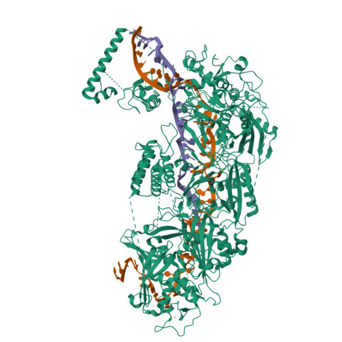 RCSB PDB - 7Y82: CryoEM structure of type III-E CRISPR Craspase gRAMP ...