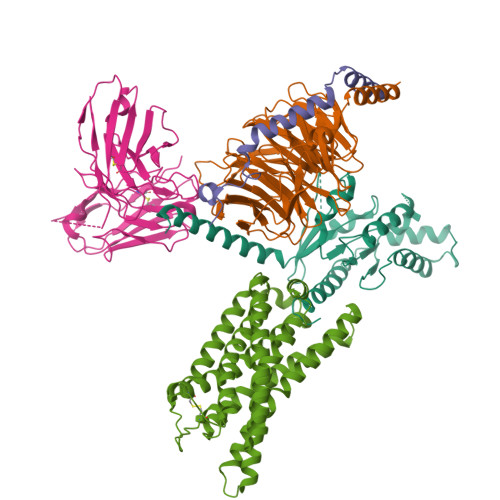 RCSB PDB - 7Y89: Structure of the GPR17-Gi complex