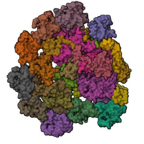 RCSB PDB - 7Y8A: Cryo-EM structure of cryptophyte photosystem I