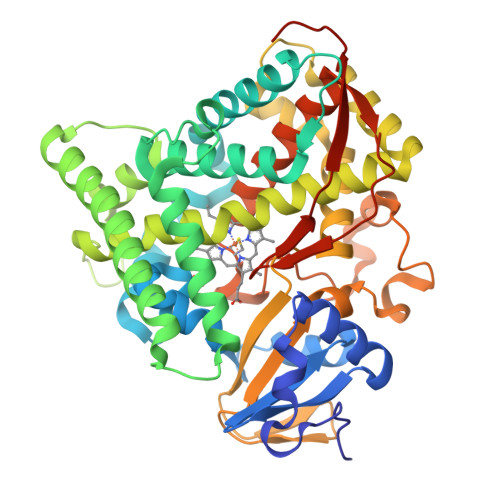 RCSB PDB - 7Y9K: Crystal structure of P450 BM3-TMK from Bacillus megaterium