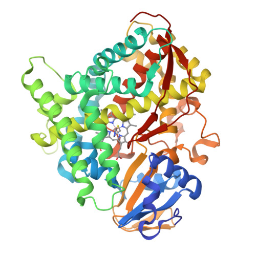 RCSB PDB - 7Y9M: Crystal structure of P450 BM3-2F from Bacillus megaterium