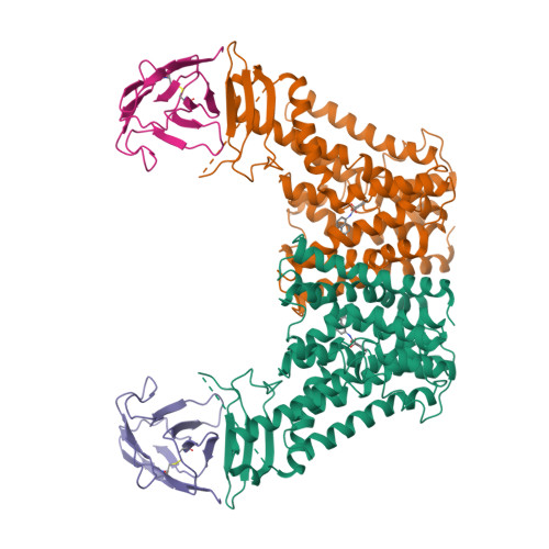 RCSB PDB - 7Y9U: Structure of the auxin exporter PIN1 in Arabidopsis ...