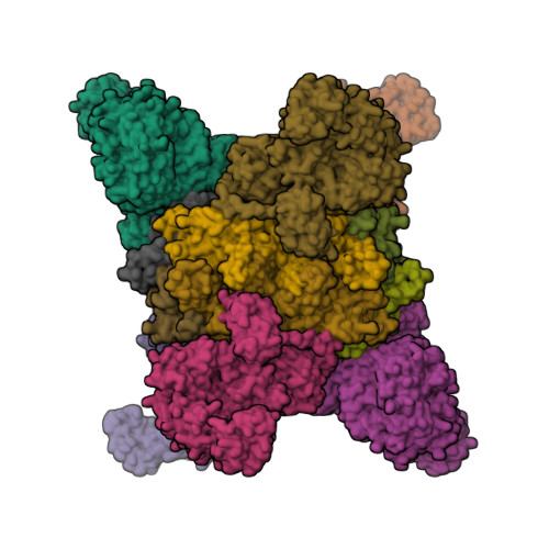 RCSB PDB - 7YBU: Human propionyl-coenzyme A carboxylase