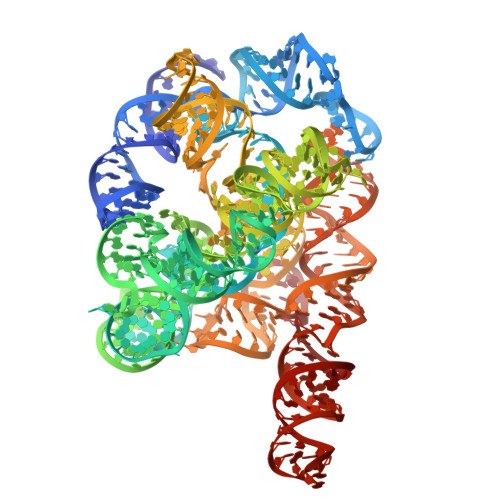 RCSB PDB - 7YC8: Cryo-EM structure of Tetrahymena ribozyme conformation ...