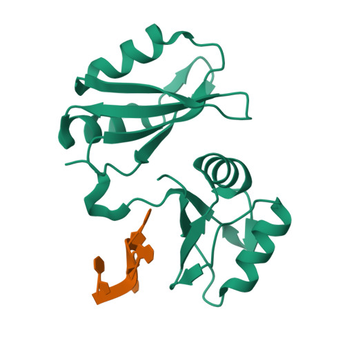 RCSB PDB - 7YEW: Structure of MmIGF2BP3 in complex with 7-mer RNA