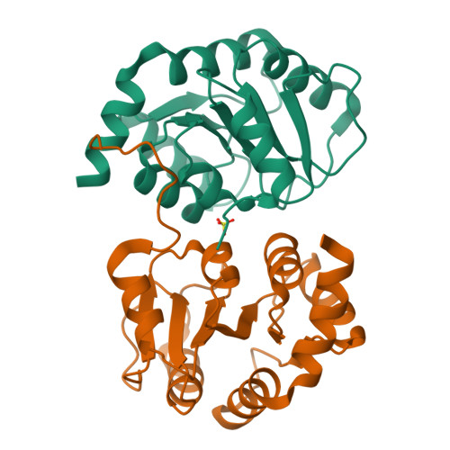 RCSB PDB - 7YF5: Crystal Structure of the UDPGA Binding Domain of the ...