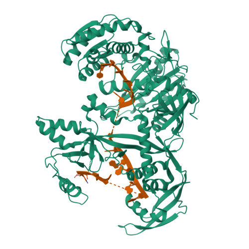 RCSB PDB - 7YFX: Cryo-EM structure of Hili in complex with piRNA