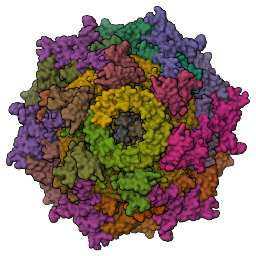 RCSB PDB - 7YFZ: Cyanophage Pam3 baseplate proteins