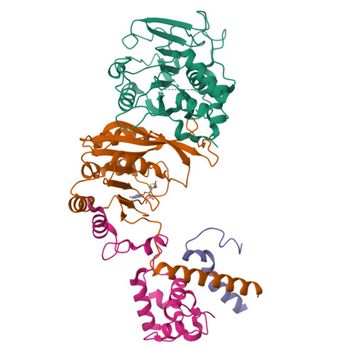 RCSB PDB - 7YI8: Cryo-EM structure of SAH-bound MTA1-MTA9-p1-p2 complex