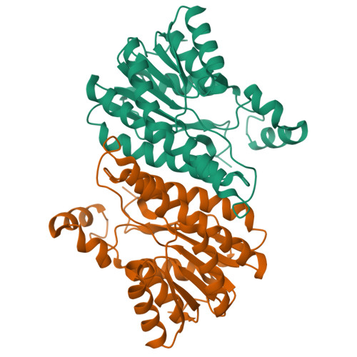 RCSB PDB - 7YIC: Crystal structure of reductase LSADH