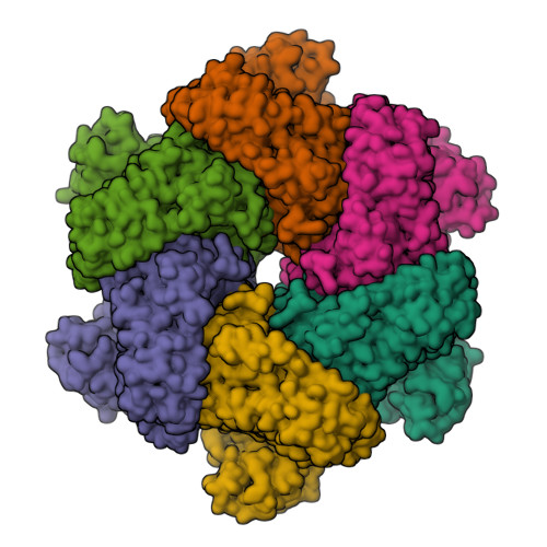 RCSB PDB - 7YKZ: Cryo-EM structure of Drg1 hexamer in the planar state ...