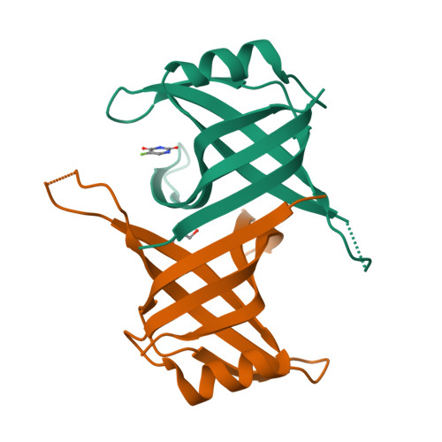 RCSB PDB - 7YM1: Structure of SsbA protein in complex with the anticancer drug 5-fluorouracil