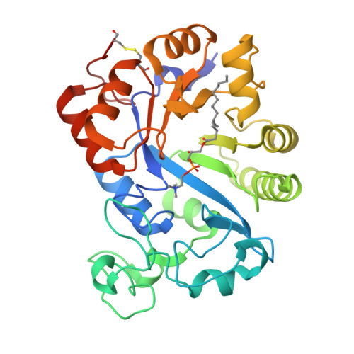 RCSB PDB - 7YMR: Complex structure of lysoplasmalogen specific ...