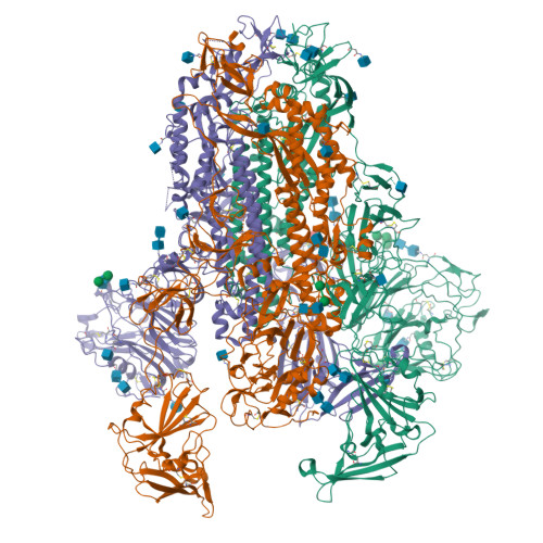 RCSB PDB - 7YMT: Cryo-EM structure of MERS-CoV spike protein, Two RBD ...