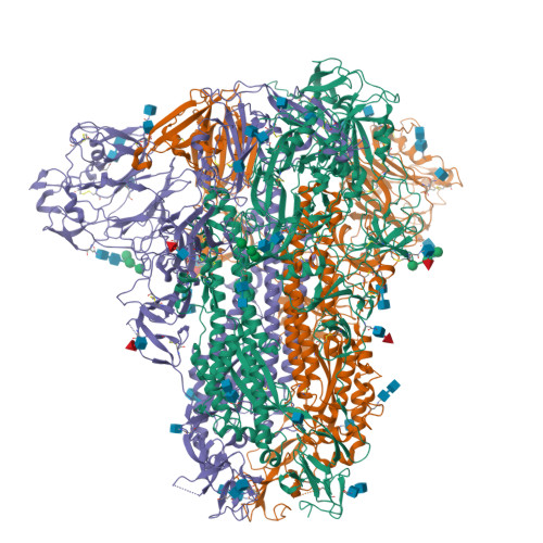 RCSB PDB - 7YMZ: Cryo-EM structure of MERS-CoV spike protein ...