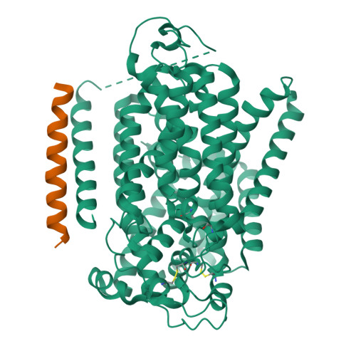 RCSB PDB - 7YNK: Structure of human SGLT2-MAP17 complex in the apo ...
