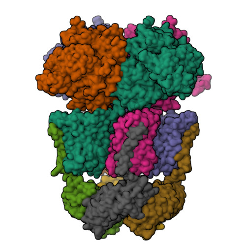 RCSB PDB - 7YO4: Cryo-EM structure of RCK1-RCK2 mutated human Slo1 ...