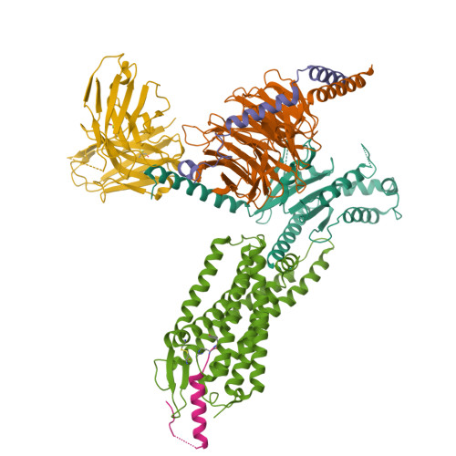 RCSB PDB - 7YON: Complex structure of Neuropeptide Y Y2 receptor in ...