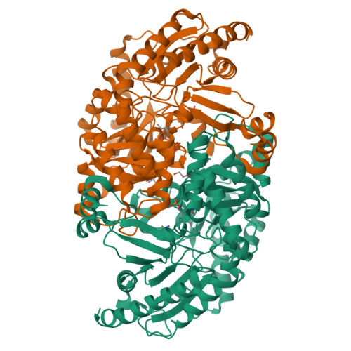 RCSB PDB - 7YPM: Crystal structure of transaminase CC1012 complexed ...