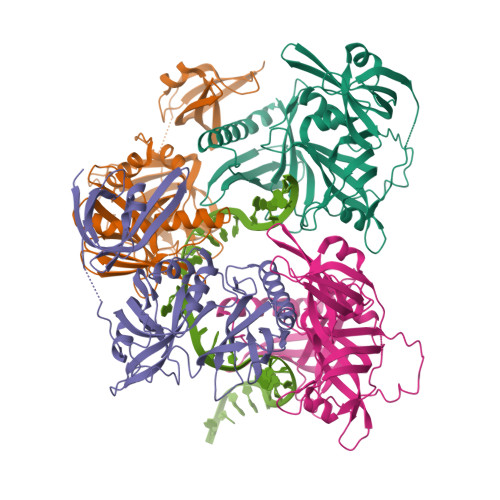 RCSB PDB - 7YPO: Cryo-EM structure of baculovirus LEF-3 in complex with ...