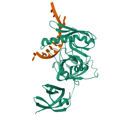 RCSB PDB - 7YPQ: Cryo-EM structure of one baculovirus LEF-3 molecule in ...