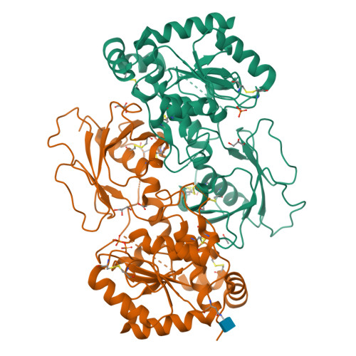 RCSB PDB - 7YRO: Crystal structure of mango fucosyltransferase 13