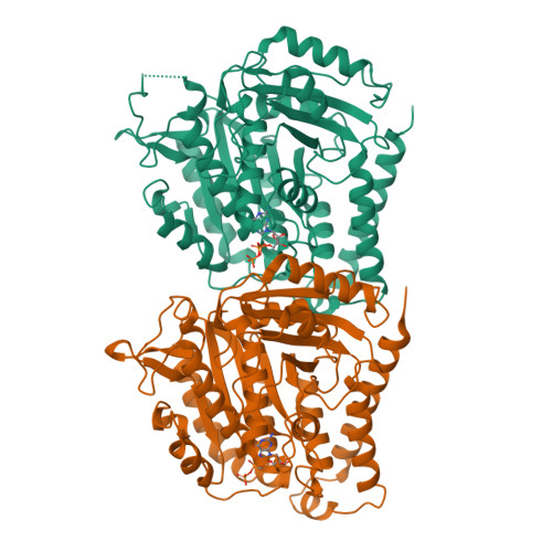 RCSB PDB - 7YSN: Tubulin heterodimer structure of GMPCPP state in solution